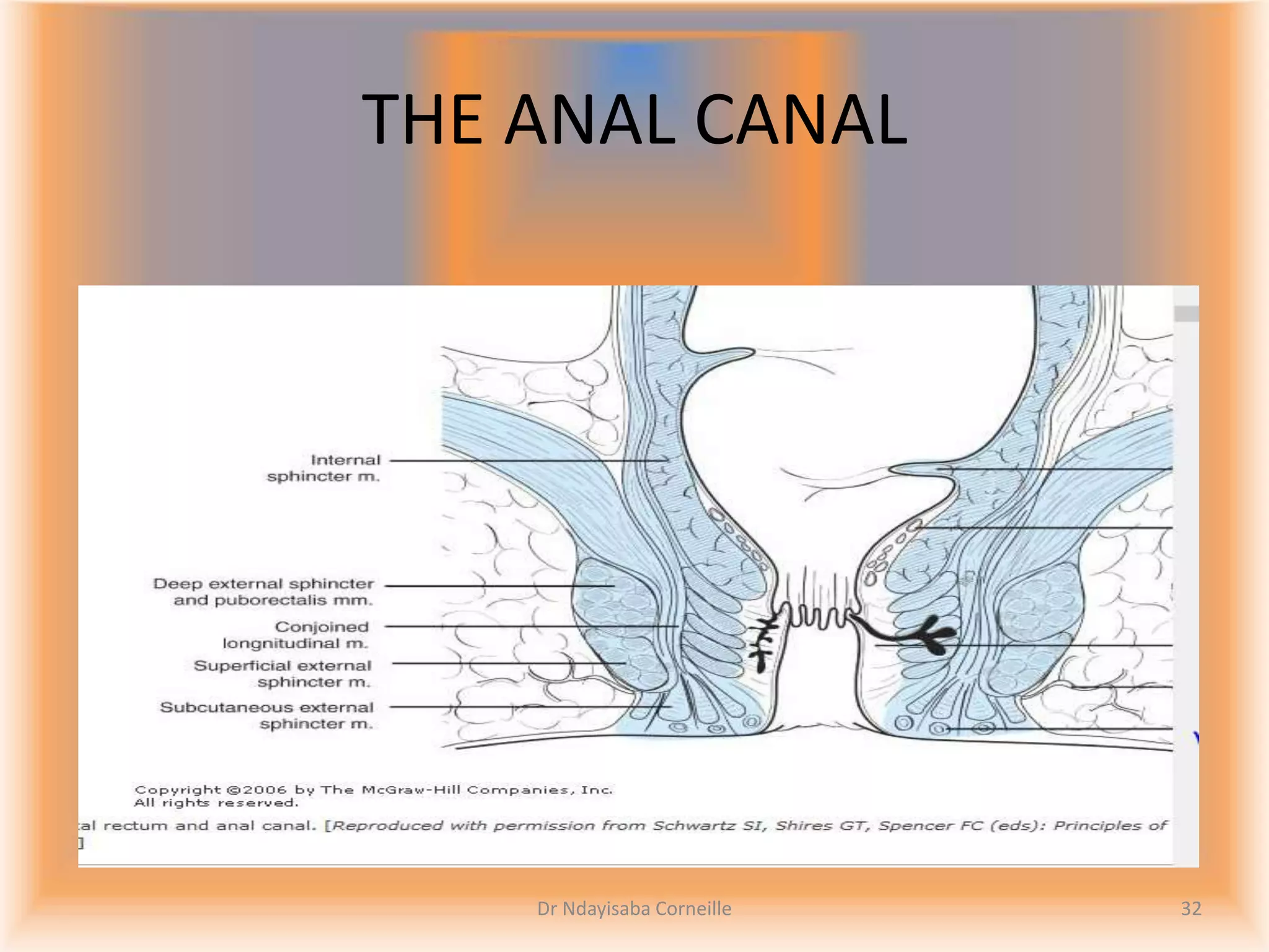 Rectum & Anal Canal.pptx