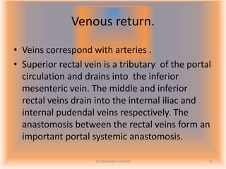 Rectum & Anal Canal.pptx