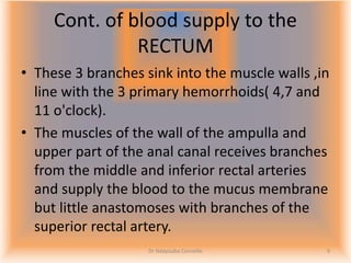 Rectum & Anal Canal.pptx