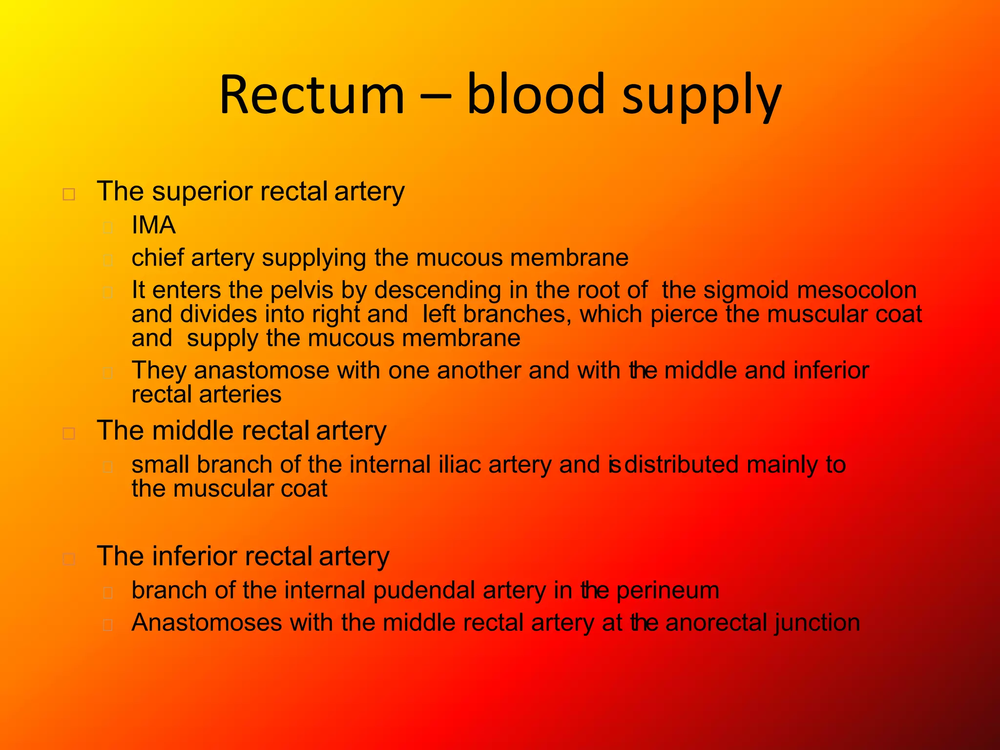 Rectum & anal canal | PDF