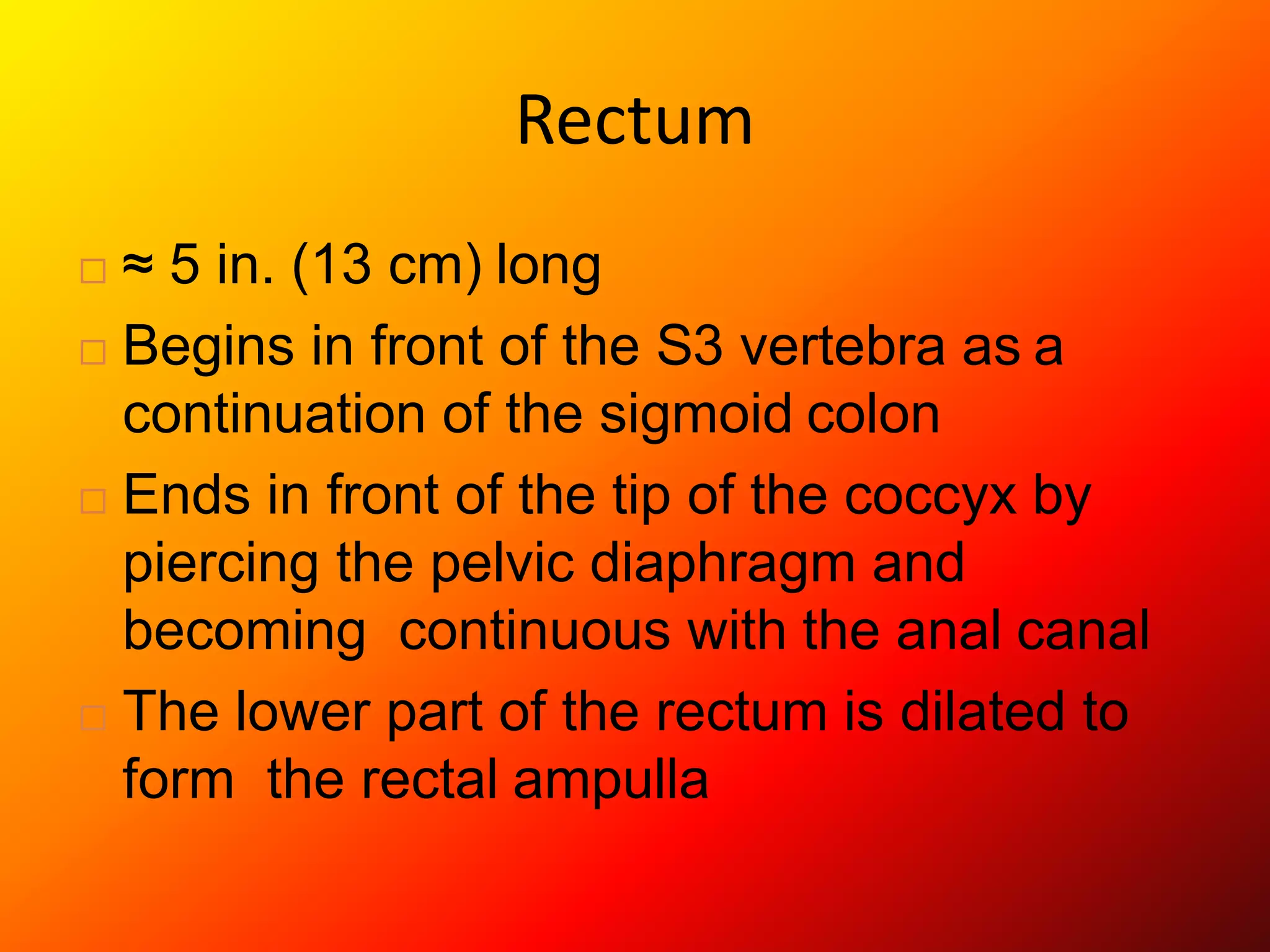 Rectum & anal canal | PDF
