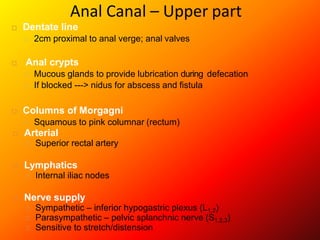 Rectum & anal canal | PDF