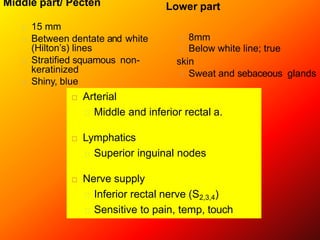 Rectum & anal canal | PDF | Digestive Disorders | Diseases and Conditions