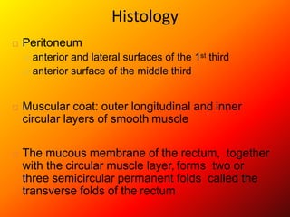 Rectum & anal canal | PDF | Digestive Disorders | Diseases and Conditions