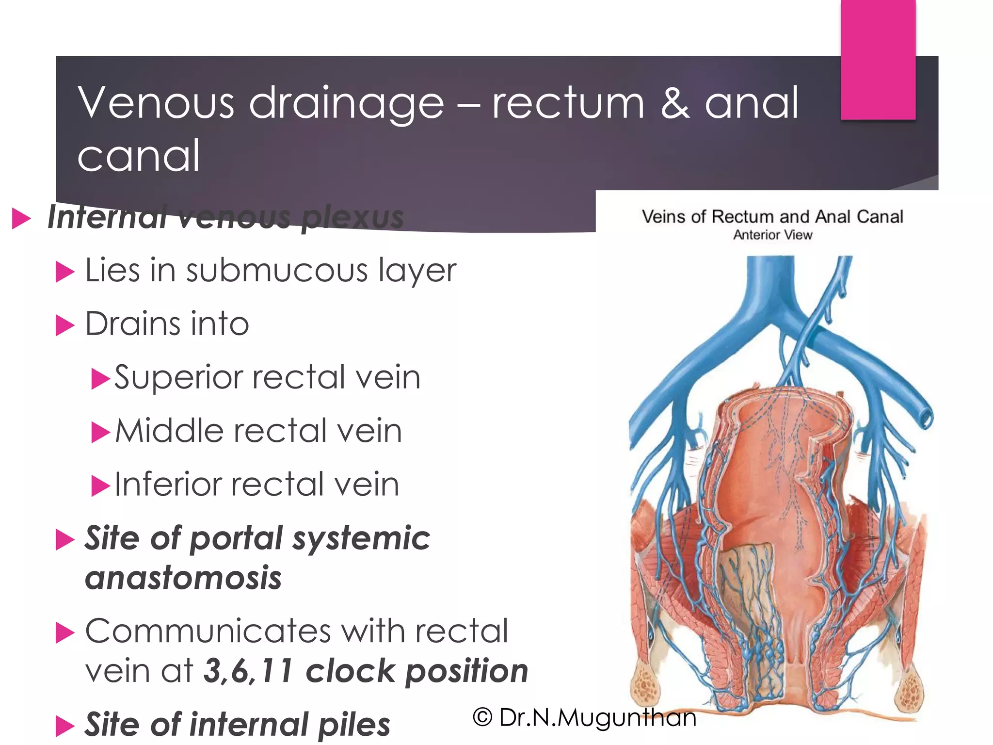 Rectum & Anal canal By Prof.Dr.N.Mugunthan | PDF