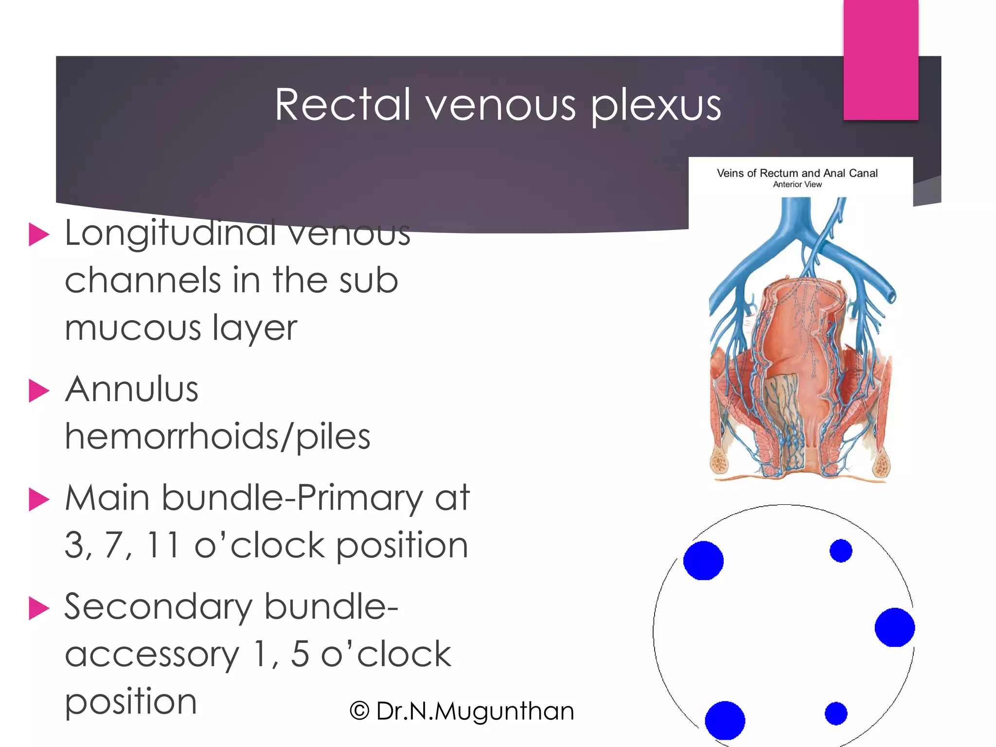 Rectum & Anal canal By Prof.Dr.N.Mugunthan | PDF