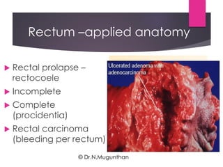Rectum & Anal canal By Prof.Dr.N.Mugunthan | PDF