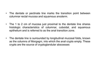 rectum_anatomy_and_physiology_clinical_features.ppt