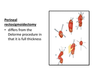 rectum_anatomy_and_physiology_clinical_features.ppt