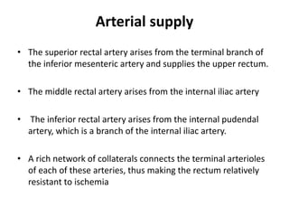 rectum_anatomy_and_physiology_clinical_features.ppt