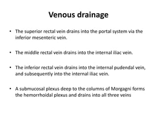 rectum_anatomy_and_physiology_clinical_features.ppt