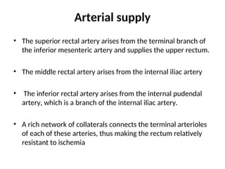rectum_anatomy_and_physiology_clinical_features.ppt
