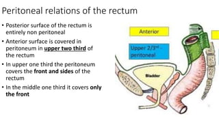 Rectum and anal canal | PPTX