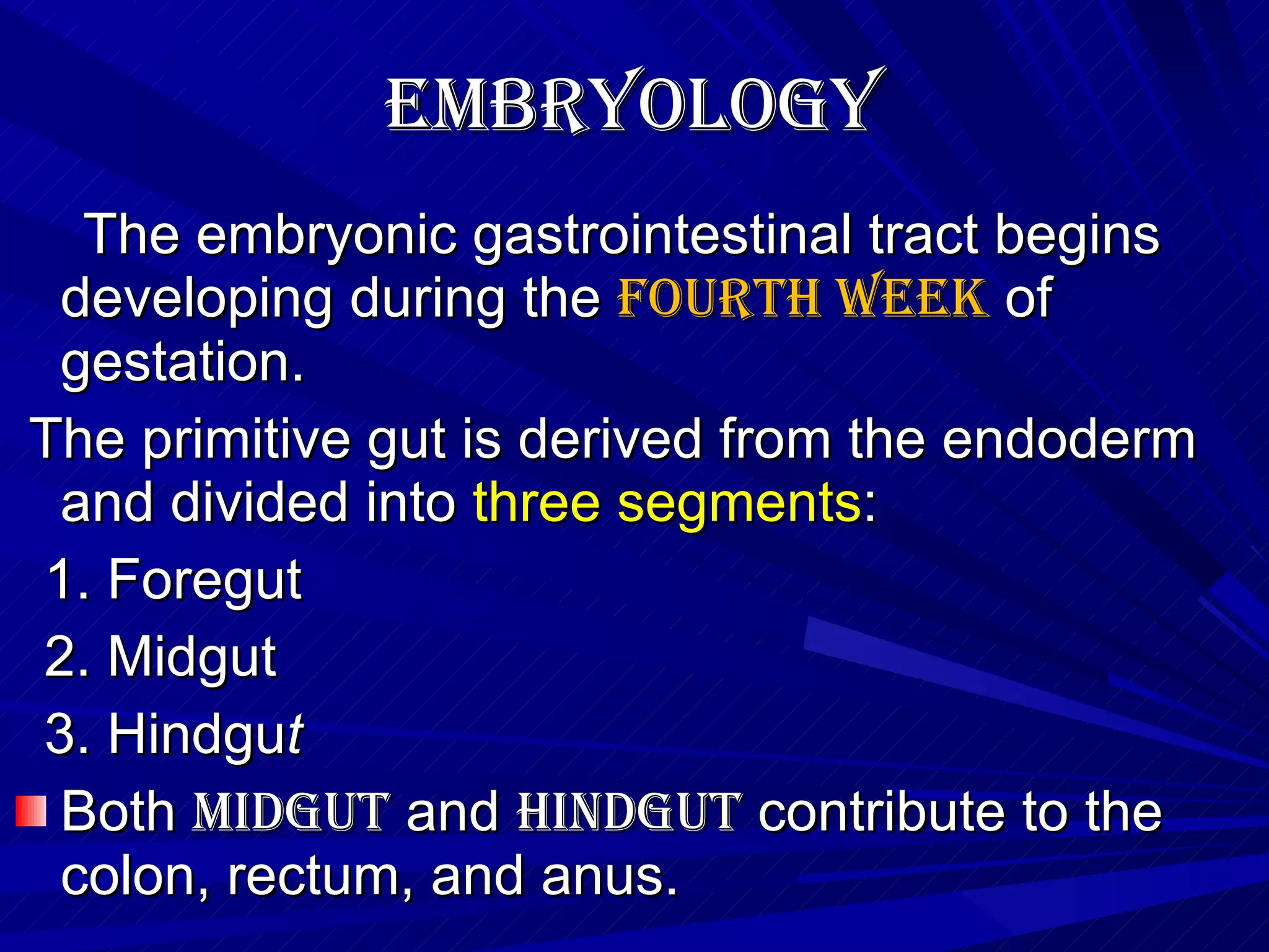 Rectum And Anus | PPT