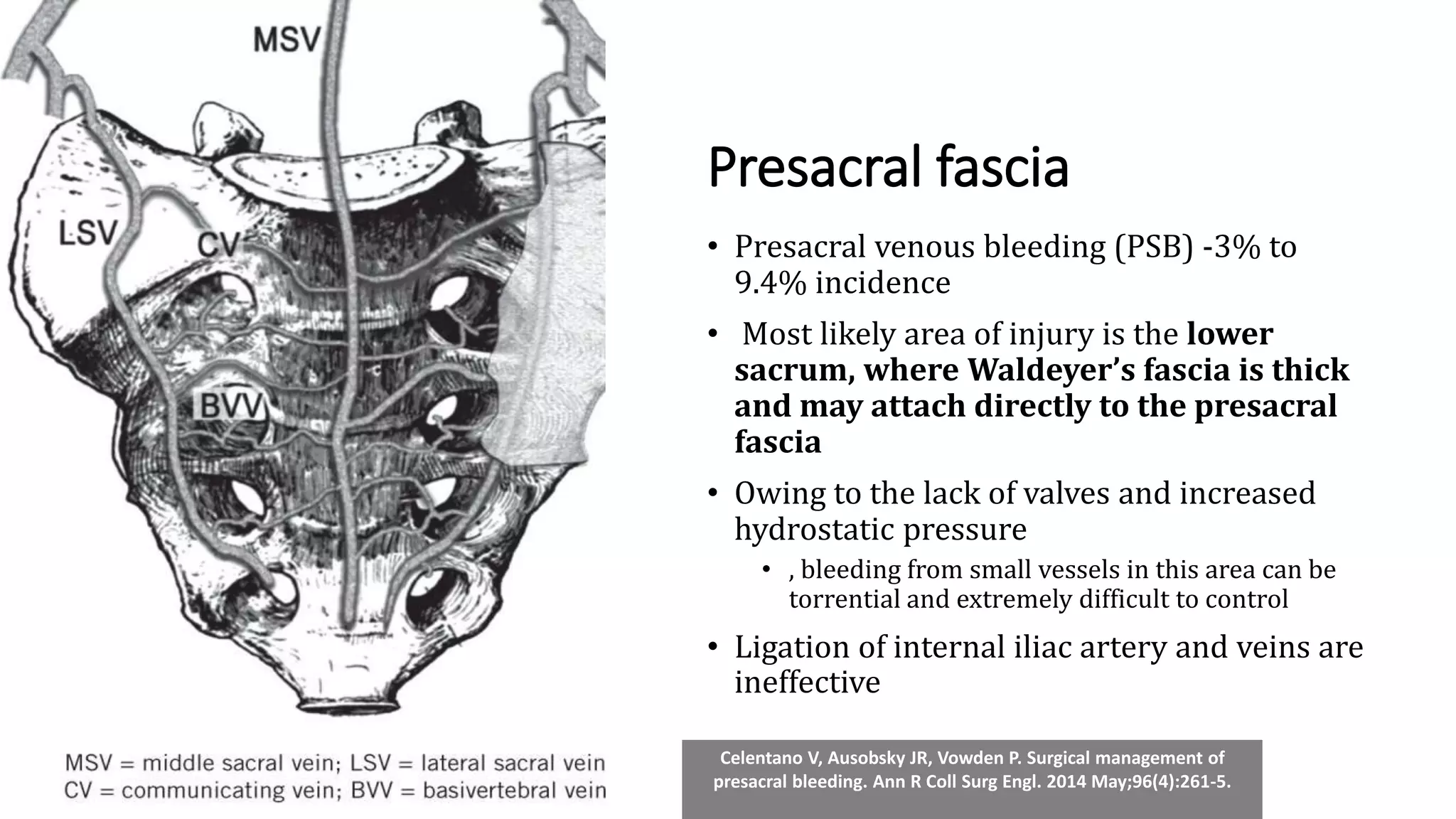 surgical anatomy of rectum | PPTX