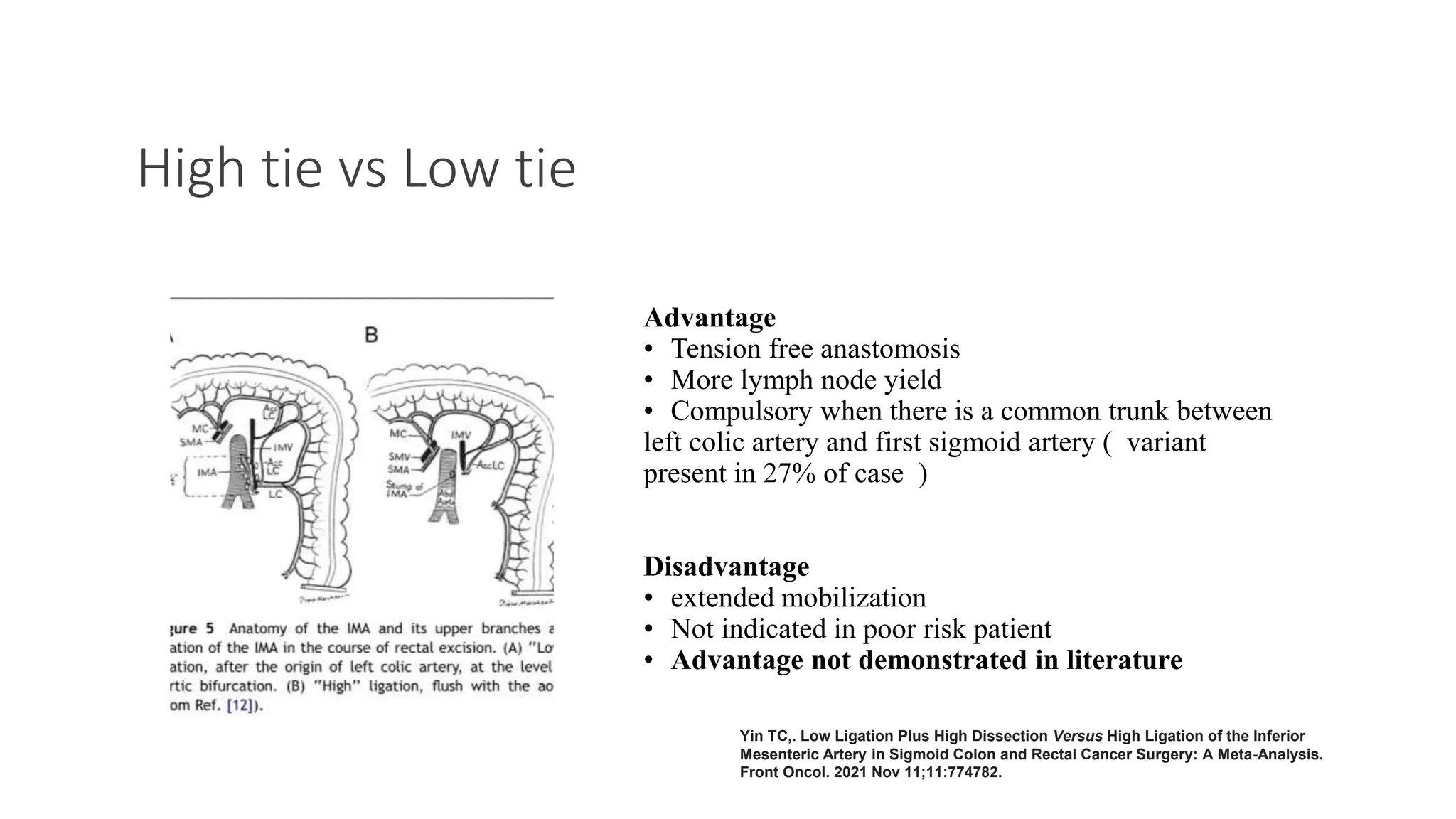 surgical anatomy of rectum | PPTX