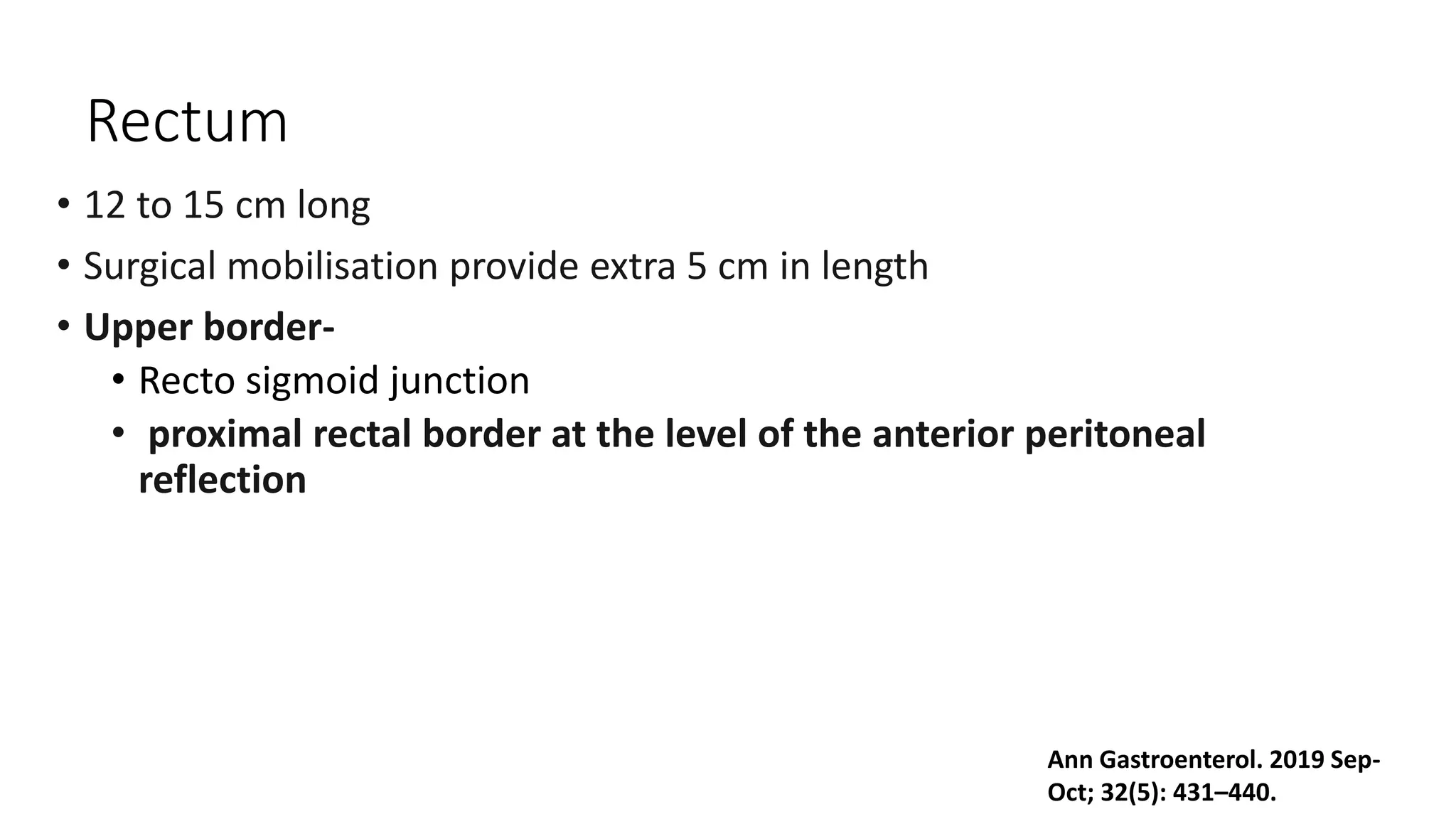 surgical anatomy of rectum | PPTX