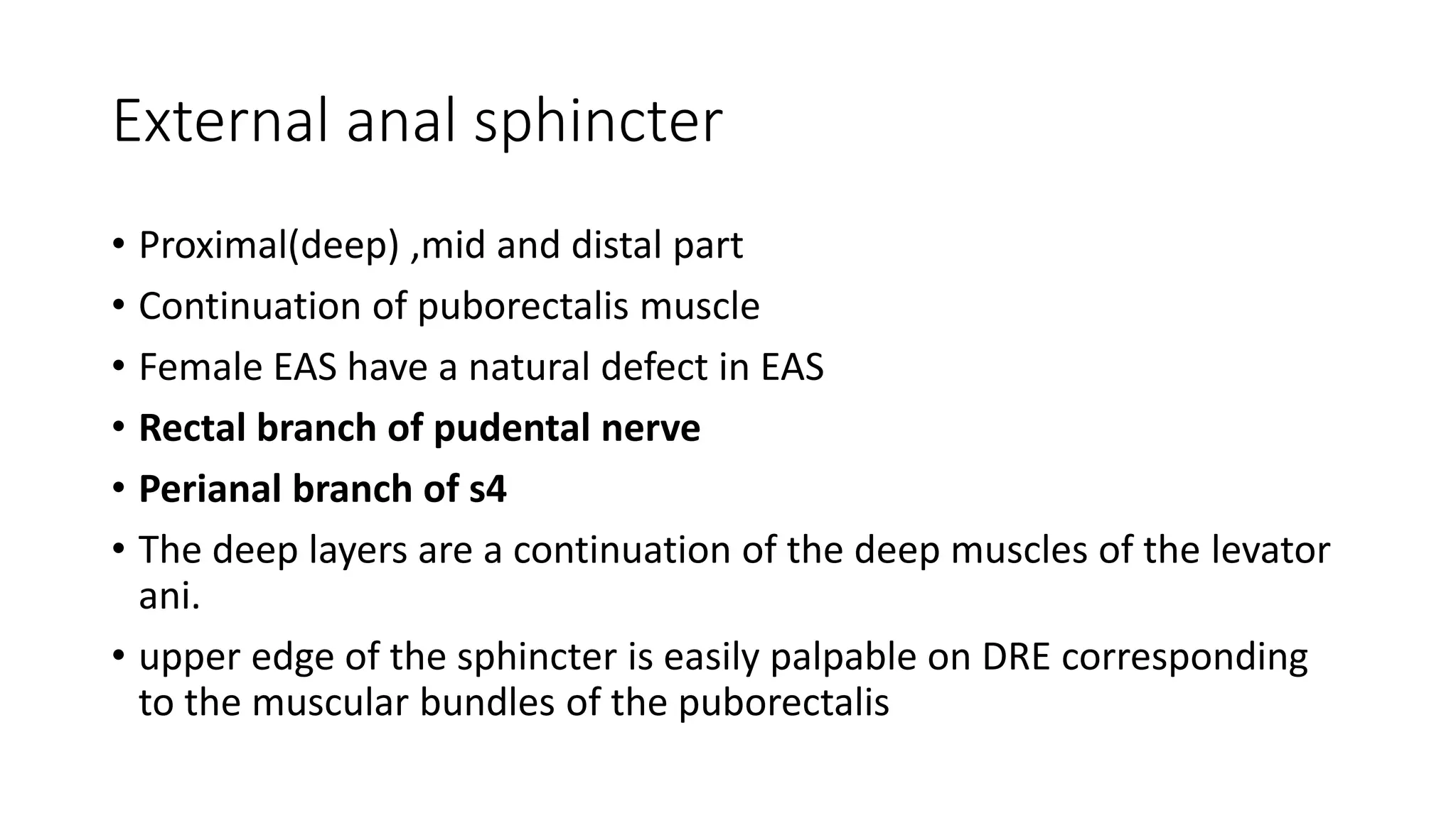 surgical anatomy of rectum | PPTX