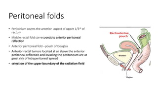surgical anatomy of rectum | PPTX