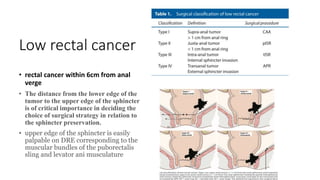 surgical anatomy of rectum | PPTX