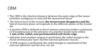 surgical anatomy of rectum | PPTX