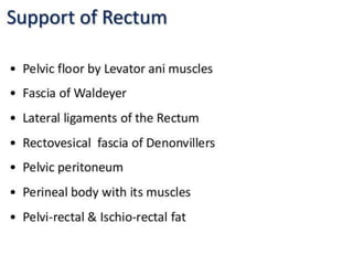Rectum ppt | PPT