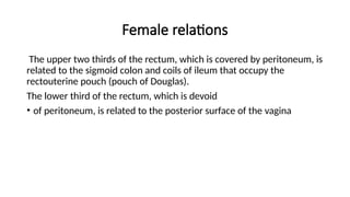 Rectum, gross anatomy and histology ppt.pptx