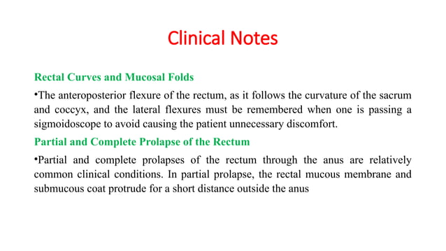 Rectum, gross anatomy and histology ppt.pptx