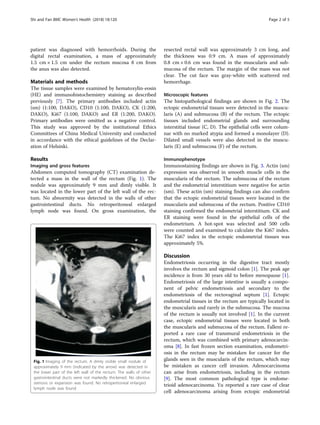 Rectus | PDF | Digestive Disorders | Diseases and Conditions