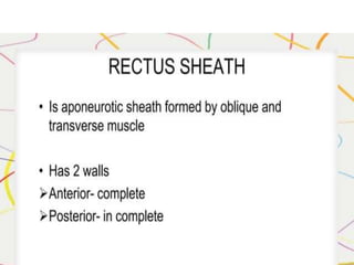 rectus sheath anatomy 12234444888999999999 | PPTX