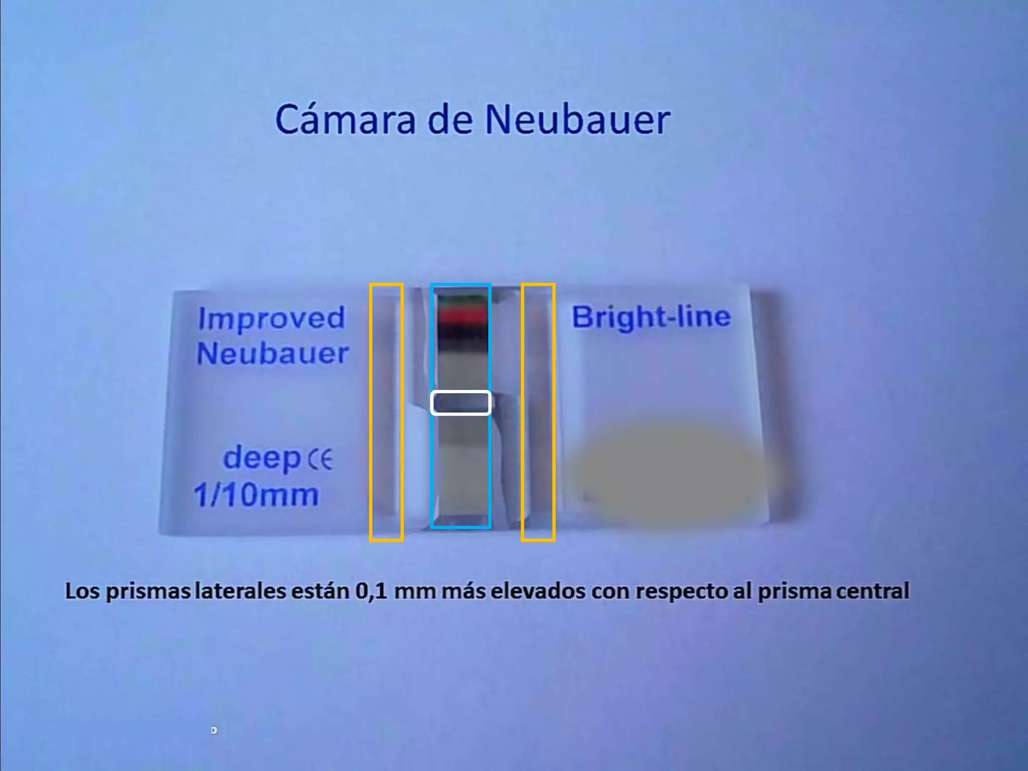 RECUENTO DE CÉLULAS SANGUINEAS EN CAMARA DE NEUBAUER | PPTX