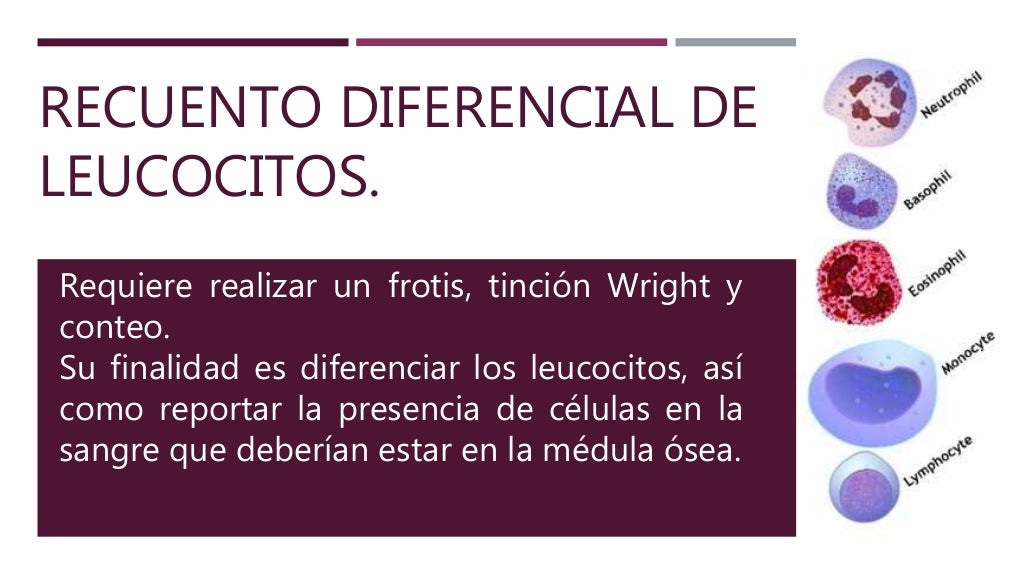 Recuento diferencial de leucocitos Recuento diferencial de leucocitos