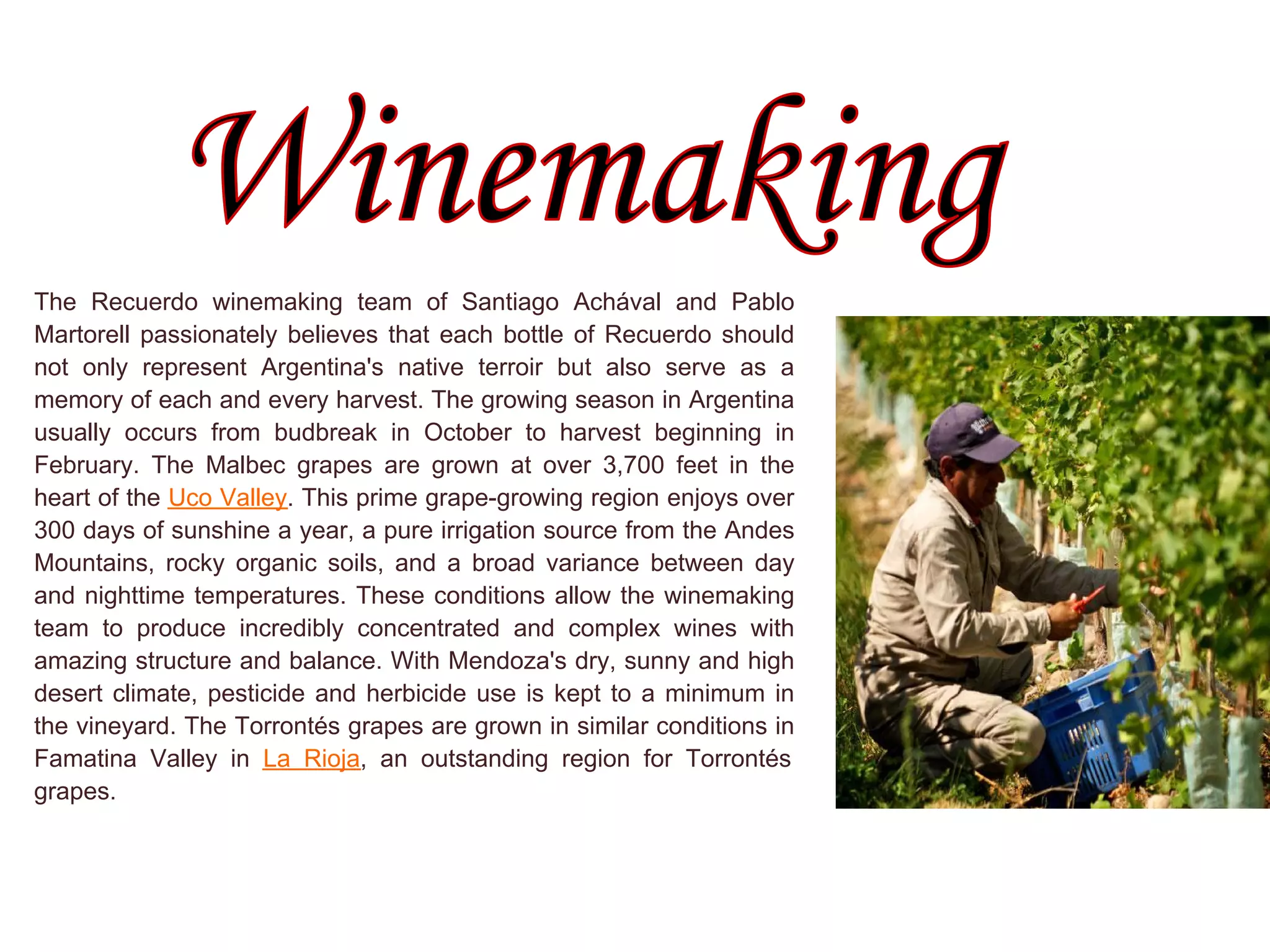 Recuerdo wines | PDF