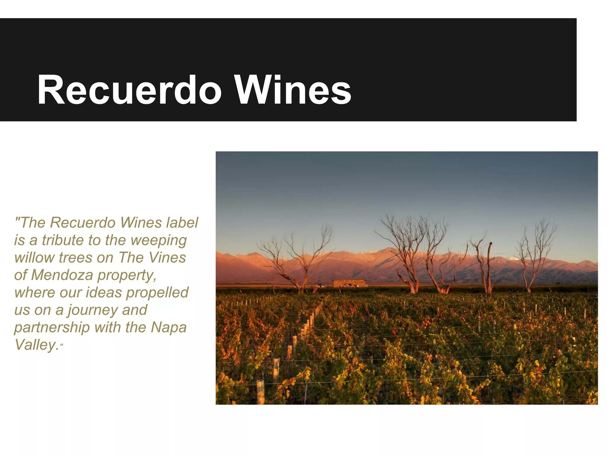 Recuerdo wines | PPT
