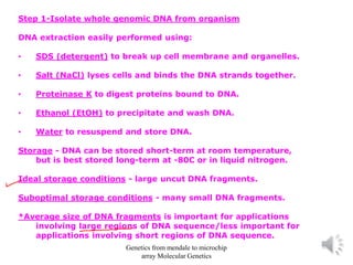 recumbinant DNA.pdf