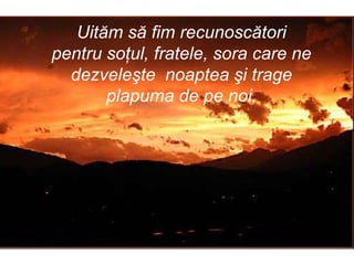 Recunostinta in viata | PPS