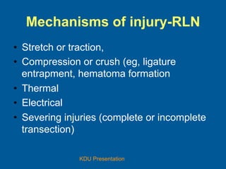 Recurrent Laryngeal Nerve and thyroid surgery | PDF