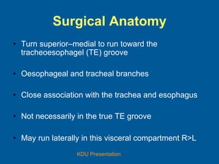 Recurrent Laryngeal Nerve and thyroid surgery | PDF