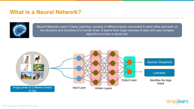 Recurrent Neural Network (RNN) | RNN LSTM Tutorial | Deep Learning ...