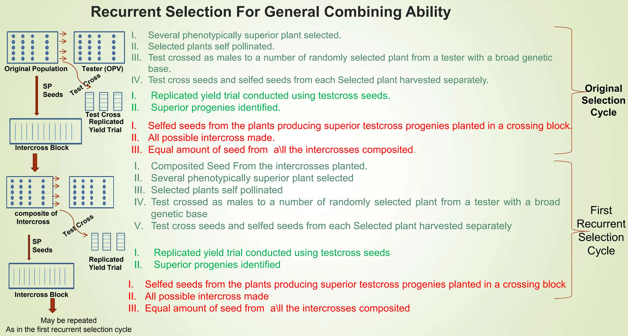 recurrent selection and its application in self pollinated crop.pptx ...
