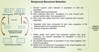 recurrent selection and its application in self pollinated crop.pptx | Genetics | Science