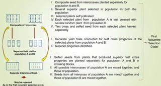 recurrent selection and its application in self pollinated crop.pptx ...