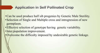 recurrent selection and its application in self pollinated crop.pptx ...