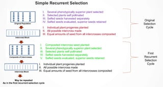 recurrent selection and its application in self pollinated crop.pptx ...