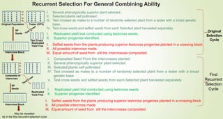 recurrent selection and its application in self pollinated crop.pptx ...