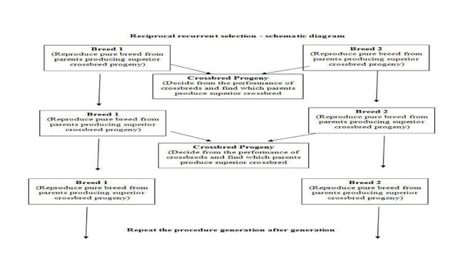 Recurrent Selection And Reciprocal Recurrent Selection Pptx