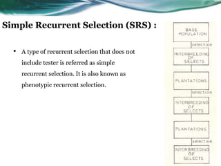 Recurrent selection sca1 | PPTX