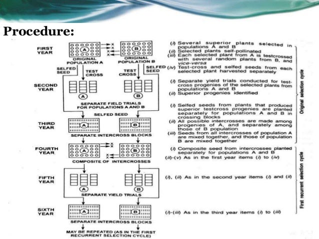 Recurrent Selection Sca1