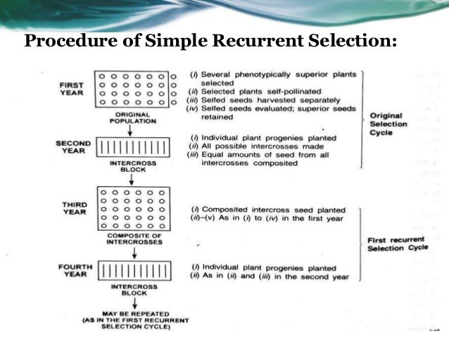 Recurrent Selection Sca1