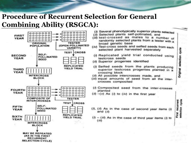 Recurrent Selection Sca1